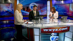 Heather Catallo - WXYZ 7 Detroit - TvNewsCaps